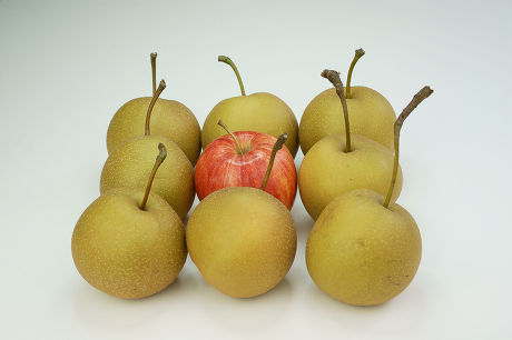 500 Nashi Stock Pictures, Editorial Images and Stock Photos | Shutterstock