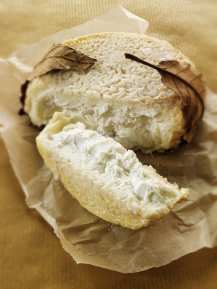 French Goat Cheese Chevre Editorial Stock Photo - Stock Image ...
