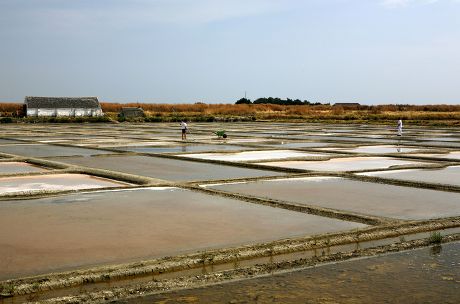Salt Farm Editorial Stock Photo - Stock Image | Shutterstock