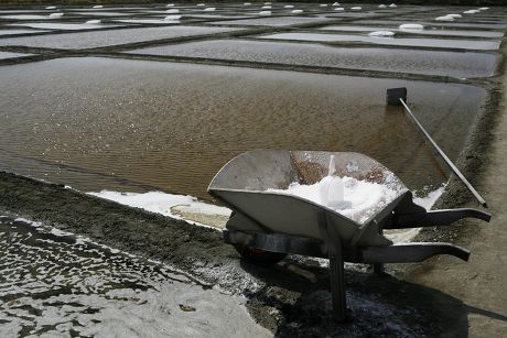 Salt Farm Editorial Stock Photo - Stock Image | Shutterstock