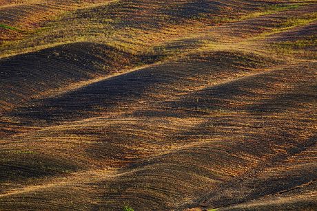 50 Fallow ground Stock Pictures, Editorial Images and Stock Photos ...