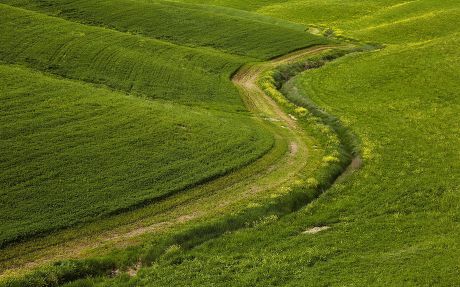 Hilly Fields Crete Senesi Region Torrenieri Editorial Stock Photo ...