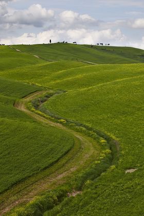 Hilly Fields Crete Senesi Region Torrenieri Editorial Stock Photo ...