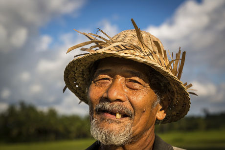250 Asian rice hat Stock Pictures, Editorial Images and Stock Photos ...