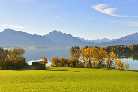 Autumn Morning On Forggensee Rosshaupten Ostallgaeu Editorial Stock ...
