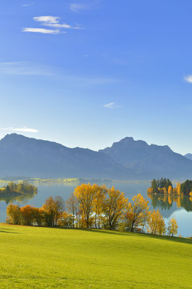 Autumn Morning On Forggensee Rosshaupten Ostallgaeu Editorial Stock ...