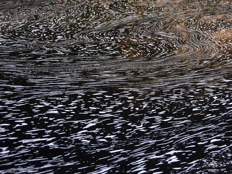 Typical Foam Structures On Blackwater River Editorial Stock Photo ...