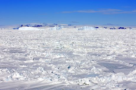 250 Antarctic pack ice Stock Pictures, Editorial Images and Stock ...