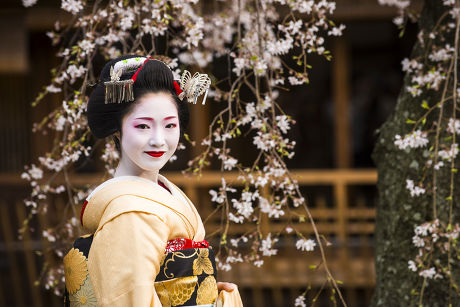 500 Japanese ethnicity Stock Pictures, Editorial Images and Stock ...