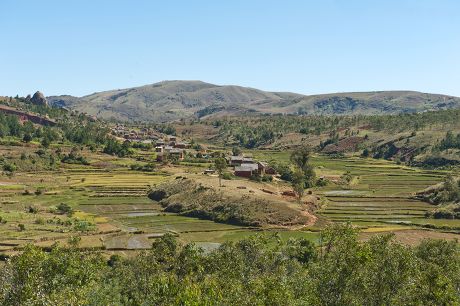 Village Merina People Terraced Rice Paddies Editorial Stock Photo ...