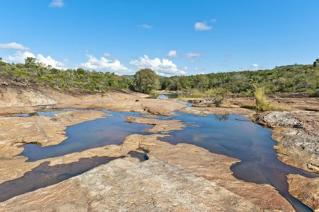 Tropical Dry Forest Landscape River Rocks Editorial Stock Photo - Stock ...