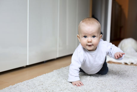61 Crawling stage Stock Pictures, Editorial Images and Stock Photos ...