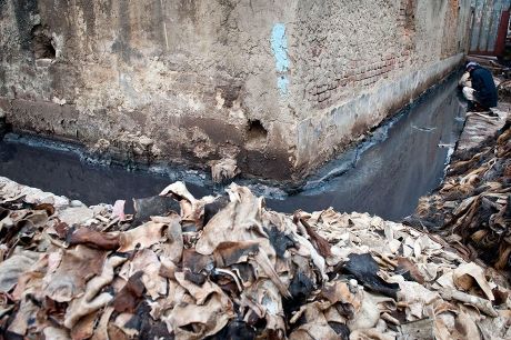 __COUNT__ The toxic tanneries of Hazaribagh in Dhaka, Bangladesh - 09 ...