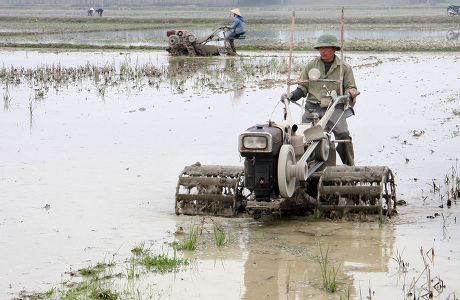 Farmers Plow Rice Field Preparation Transplanting Editorial Stock Photo ...