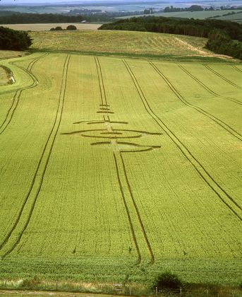 Corn Circles Field Editorial Stock Photo - Stock Image | Shutterstock