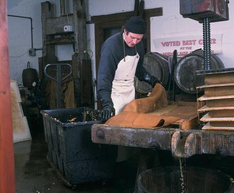 Man Using Cider Press Editorial Stock Photo - Stock Image | Shutterstock