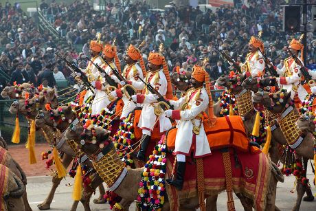 Border Security Force Bsf Jawans Camelry Editorial Stock Photo - Stock ...