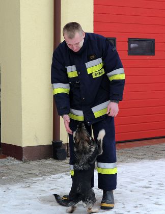 Firefighter Thomas Szulc Rescues Dog Ice Editorial Stock Photo - Stock ...
