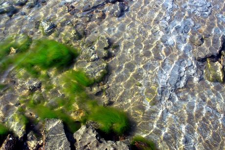 Coral Inani Beach Part Worlds Longest Editorial Stock Photo - Stock ...