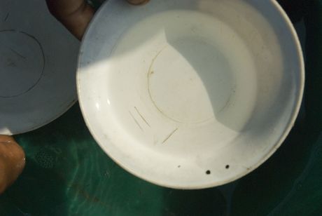 SHRIMP FRY COLLECTOR COUNTS WILD COLLECTED Editorial Stock Photo ...