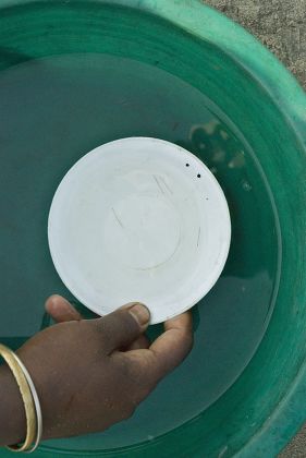Shrimp Fry Collector Counts Wild Shrimp Editorial Stock Photo - Stock ...