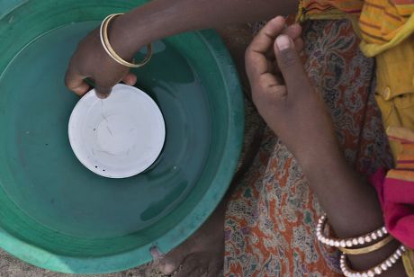 Shrimp Fry Collector Counts Wild Shrimp Editorial Stock Photo - Stock ...
