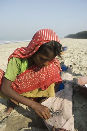 Female Shrimp Fry Collector Collect Others Editorial Stock Photo ...