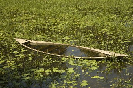 Shabby Old Boat Left Swamp Village Editorial Stock Photo - Stock Image ...