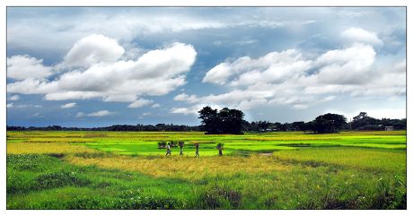 47 Bashkhali Stock Pictures, Editorial Images and Stock Photos ...