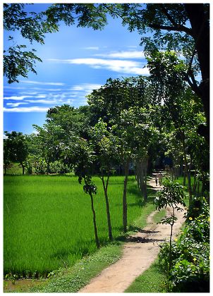 Rural Scene Hathazari Chittagong Bangladesh Editorial Stock Photo ...