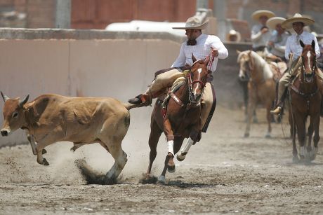 28 Charro style Stock Pictures, Editorial Images and Stock Photos ...