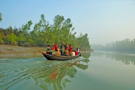Tourists Watch Wildlife Ride On Boat Editorial Stock Photo - Stock ...