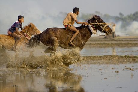 28 Ghora Stock Pictures, Editorial Images and Stock Photos | Shutterstock