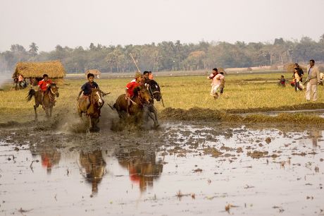 28 Ghora Stock Pictures, Editorial Images and Stock Photos | Shutterstock