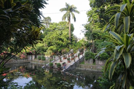 Baldah Garden Botanical Garden Located Wari Editorial Stock Photo ...