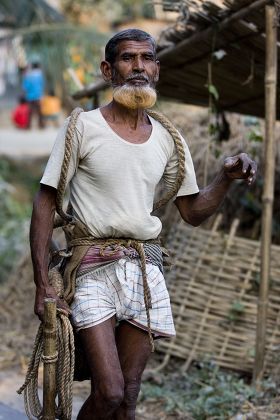 6 Gachee Stock Pictures, Editorial Images and Stock Photos | Shutterstock