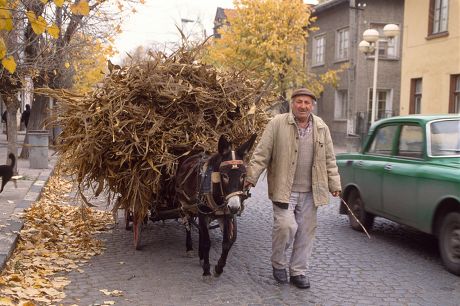 42 Loaded donkey cart Stock Pictures, Editorial Images and Stock Photos ...