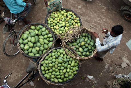 9 Mango wholesale market shop Stock Pictures, Editorial Images and ...