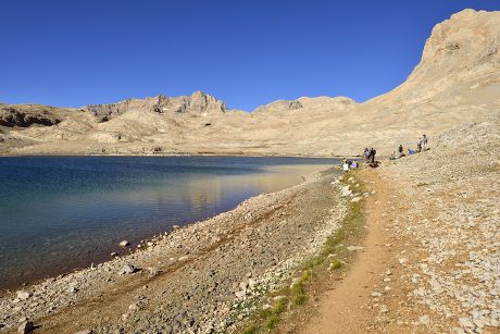 11 Alada Stock Pictures, Editorial Images and Stock Photos | Shutterstock