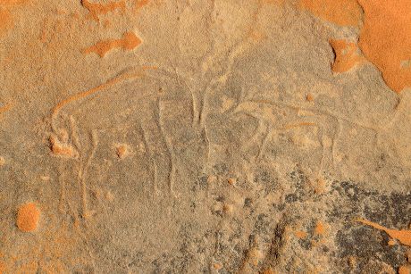 250 Prehistoric engravings Stock Pictures, Editorial Images and Stock ...