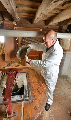 Miller David Plunkett Feeding Grain Into Editorial Stock Photo - Stock ...