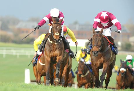Naas Gigginstown House Stud 12 Owner Editorial Stock Photo - Stock ...