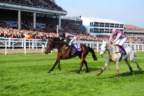 Ofaolains Boy Barry Geraghty Left Wins Editorial Stock Photo - Stock ...