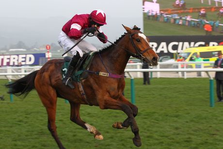 Don Poli Mikey Fogarty Win Martin Editorial Stock Photo - Stock Image ...