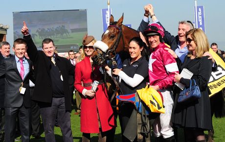 Cheltenham Tiger Roll Winners Enclosure After Editorial Stock Photo ...