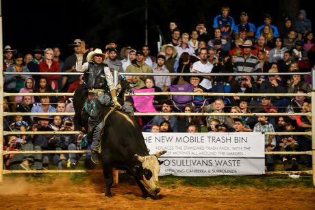 Rider Participates Bull Riding Competition During Editorial Stock Photo ...