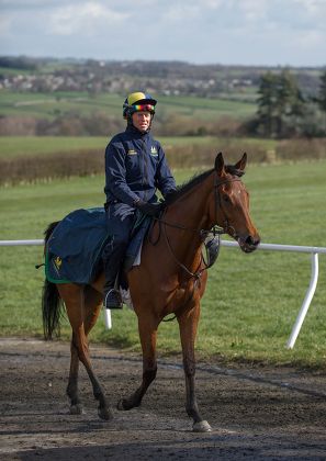 Chris Johnson Exercises One Horses Mark Editorial Stock Photo - Stock ...