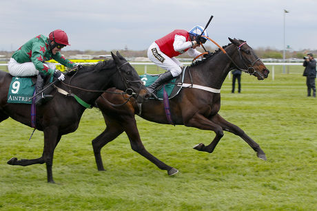 imágenes de Horse Racing, Britain - 04 Apr 2014 - Imágenes de stock ...