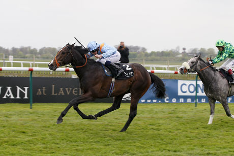 Toormore Ryan Moore Wins Grey Gatsby Editorial Stock Photo - Stock ...