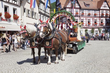 Horsedrawn Carriage Historical Parade Festival Bad Editorial Stock ...